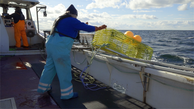 Publix provides funding to Sustainable Fisheries Partnership to help ...