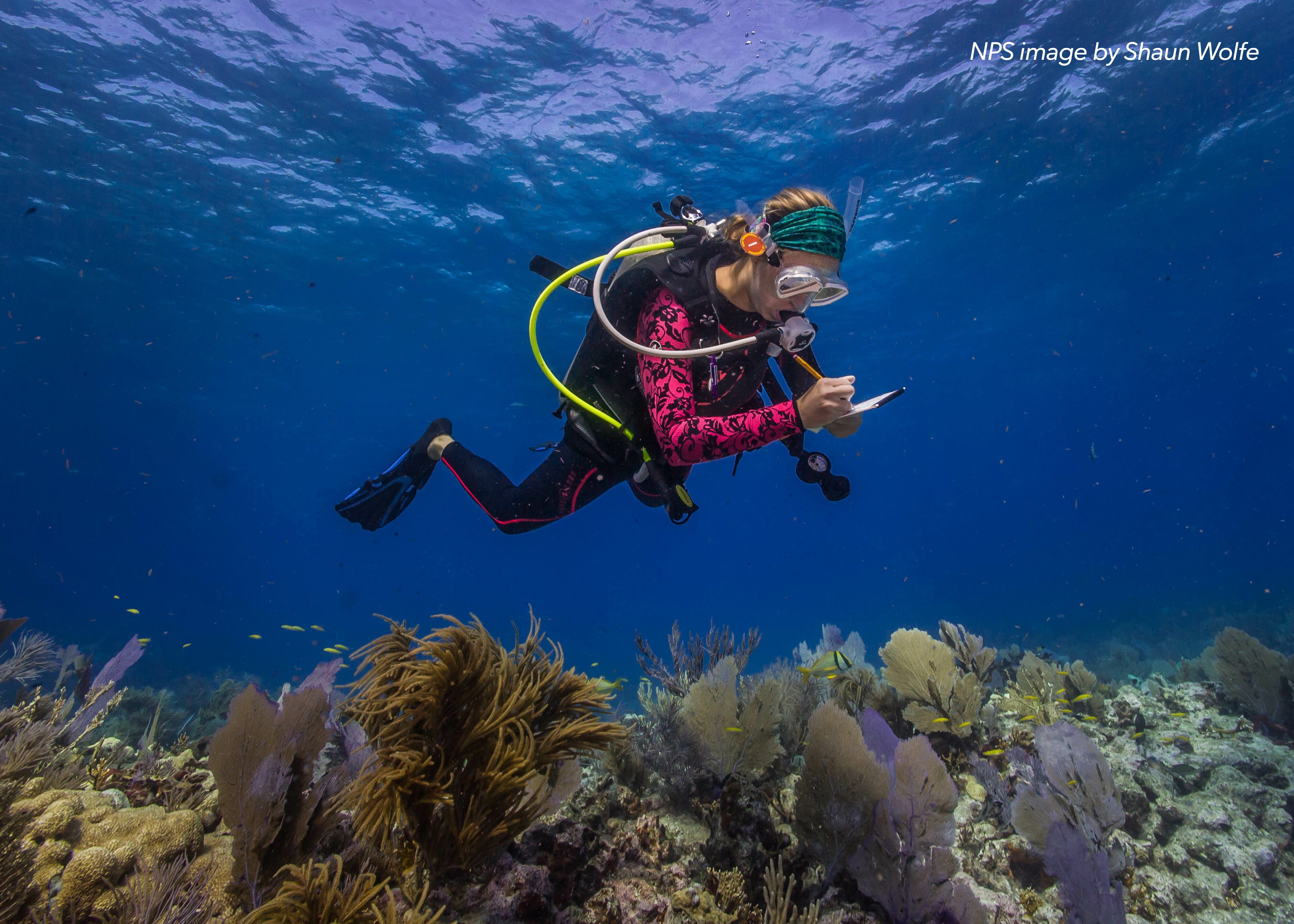 Publix celebrates Coral Reef Awareness Week by supporting projects that ...