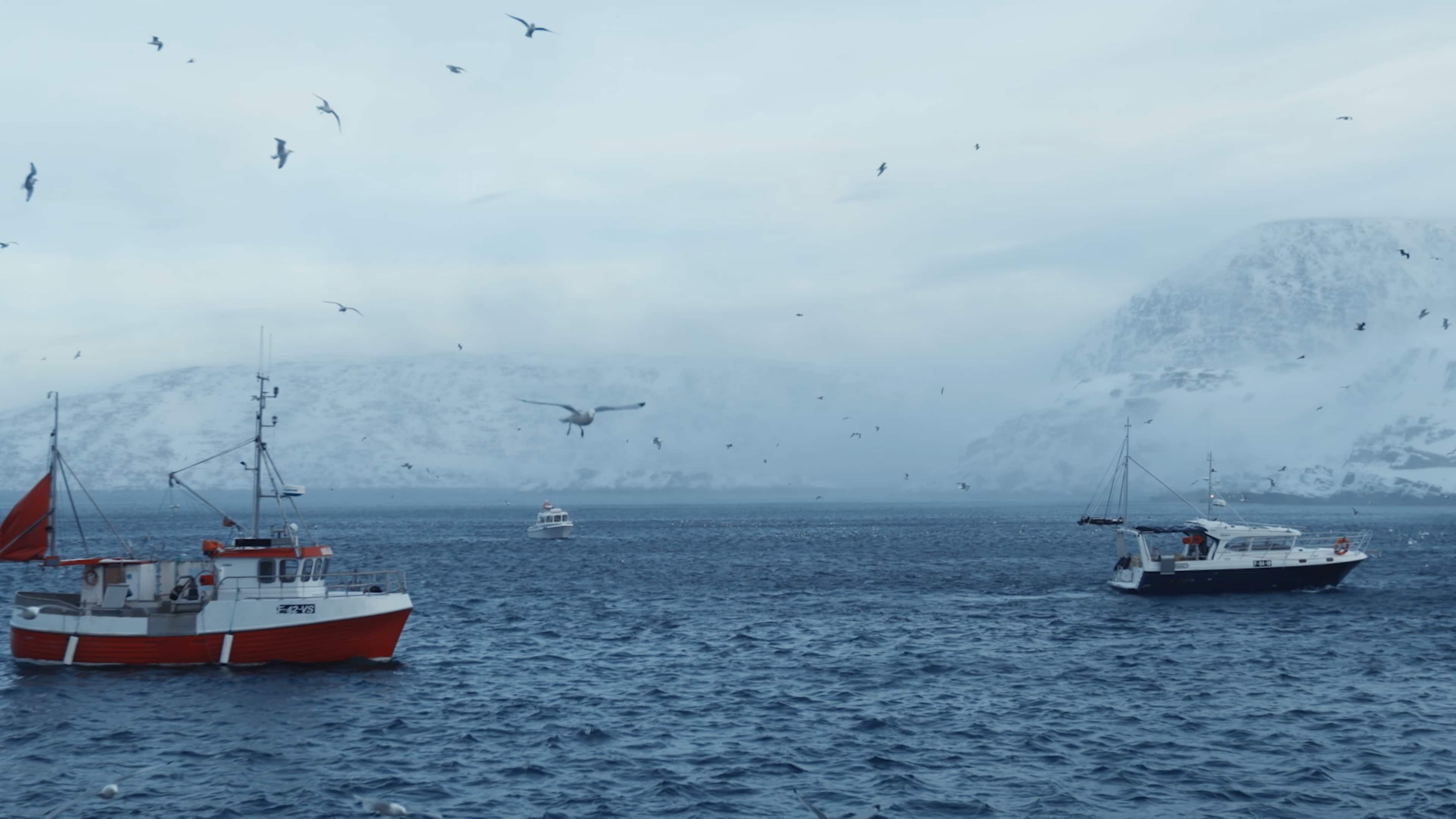 Publix donates to Sustainable Fisheries Partnership to continue helping ...