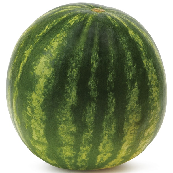 Watermelon Small Red Seedless | Publix Super Markets