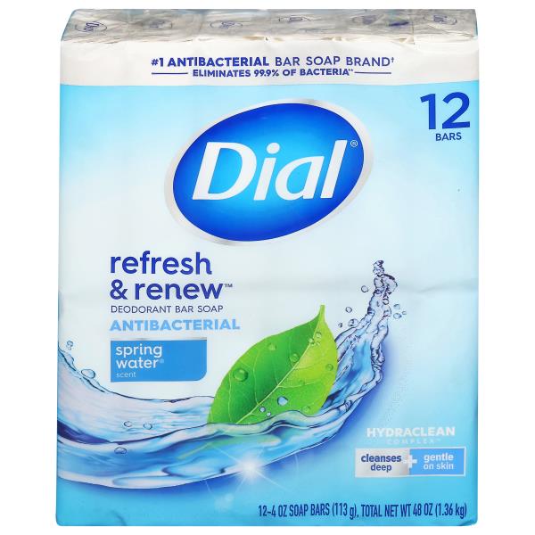 Dial Refresh & Renew Antibacterial Spring Water Scent Deodorant Bar ...