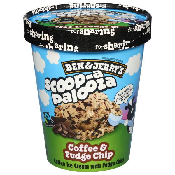 Ben & Jerry's Scoop-apalooza Coffee & Fudge Chip Ice Cream | Publix ...