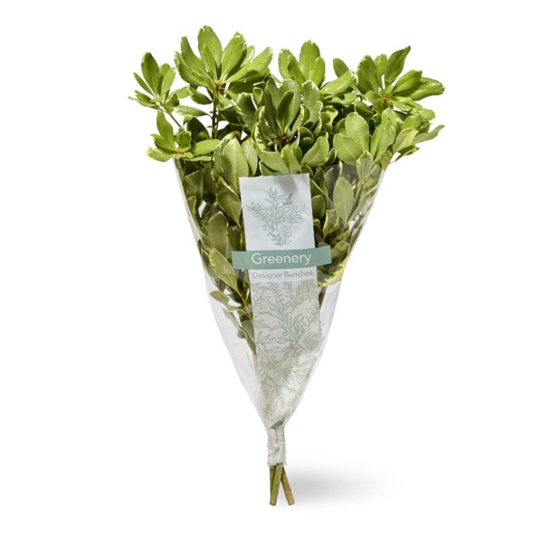 Classic Greens Bunch | Publix Super Markets
