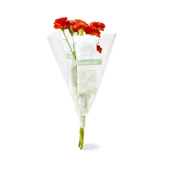 Carnation Bunch | Publix Super Markets