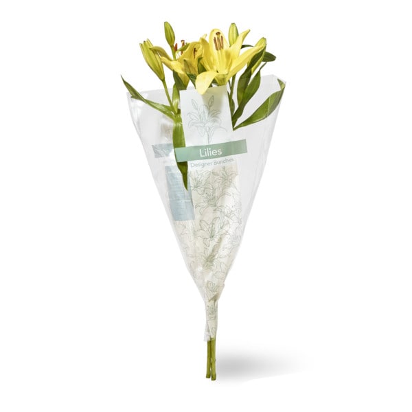 Lily Bunch | Publix Super Markets