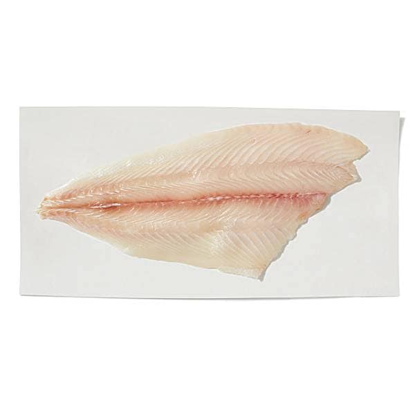Fluke Fillet, Fresh | Publix Super Markets