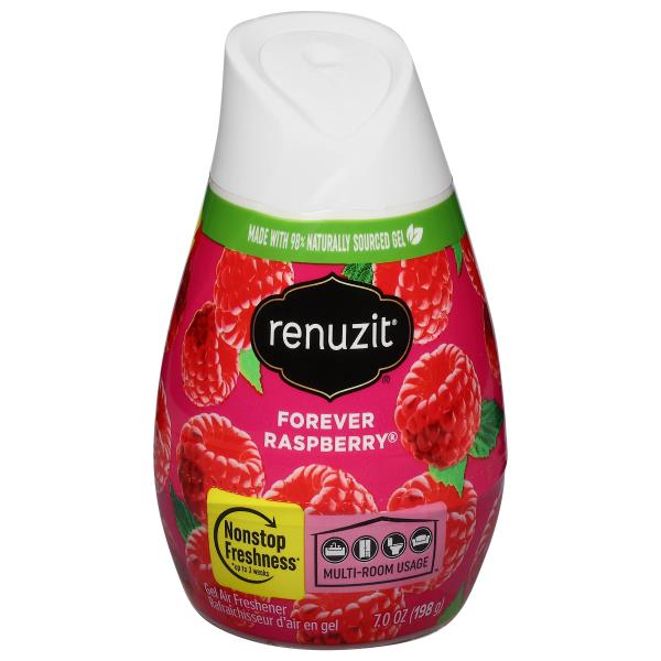 Renuzit Gel Air Freshener, Forever Raspberry | Publix Super Markets