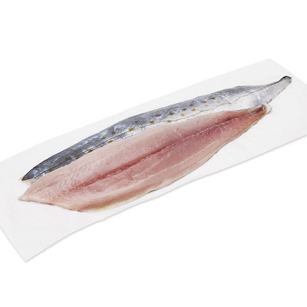 Spanish Mackerel Fillets (Mackerel), Fresh, Wild, Responsibly Sourced ...