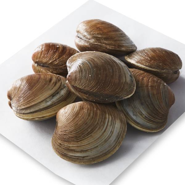 Cherrystone Clams, Live, Wild or Farm Raised | Publix Super Markets
