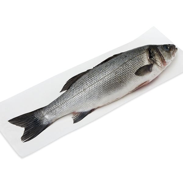 Branzino, Whole, Fresh, Farm Raised | Publix Super Markets