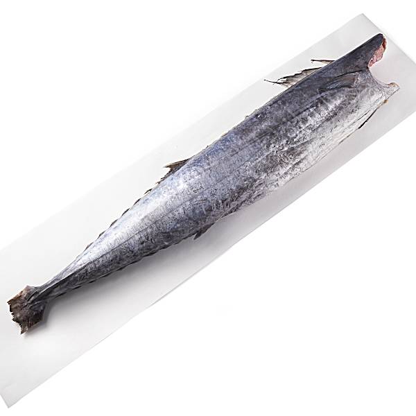 Whole Wahoo, Fresh, Wild, Responsibly Sourced | Publix Super Markets