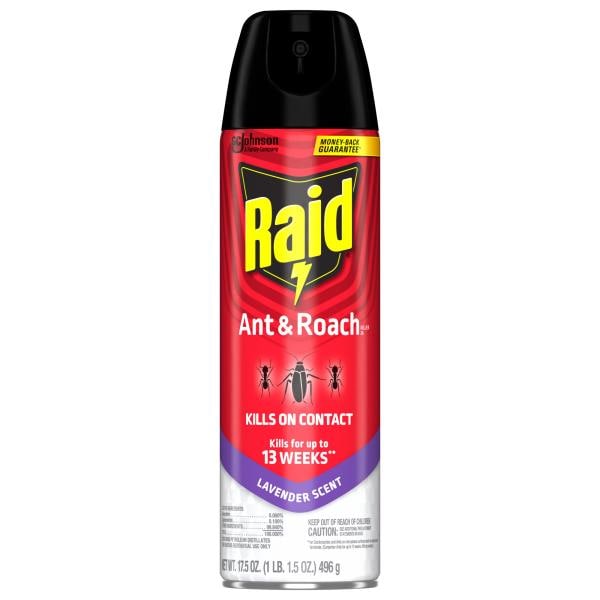 Raid Ant and Roach Killer Indoor and Outdoor Insecticide Spray ...